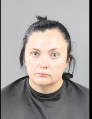 4 dogs rescued from 'cruel conditions'; Upstate woman arrested