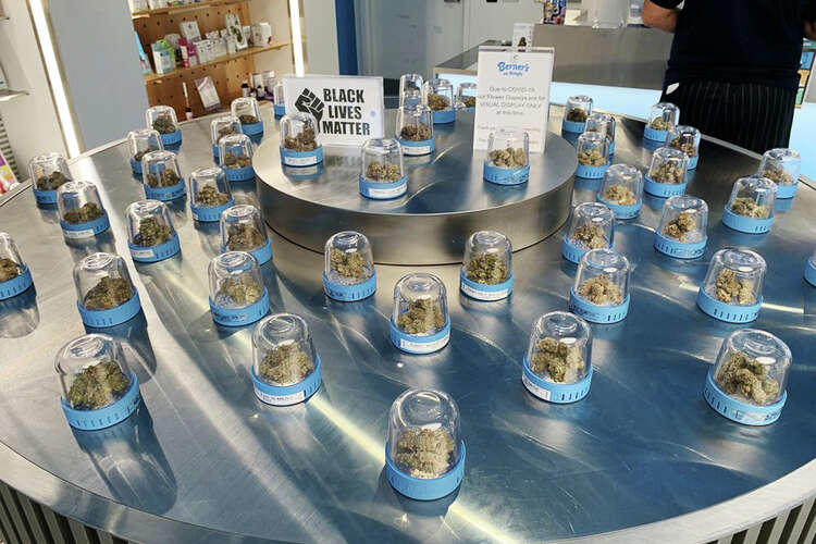 Famous SF pot brand forced to pay millions after controversial Haight ...