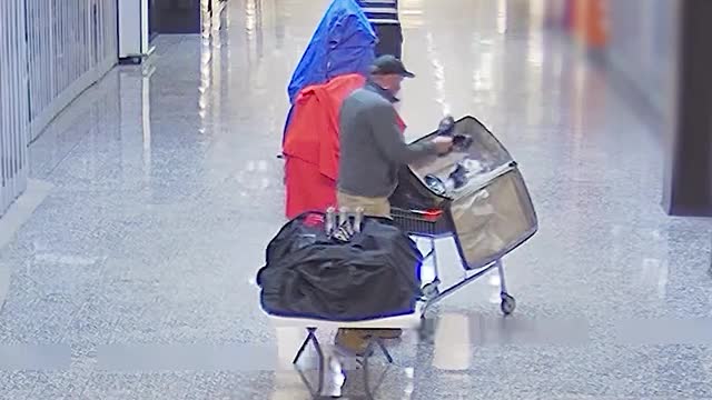 Bizarre moment alleged shoe thief steals 53 right shoes from shopping ...