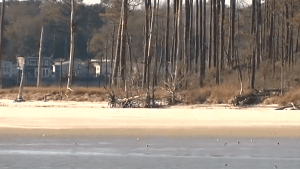 'To live with water, not fight it': Coastal squeeze, possible Grand ...