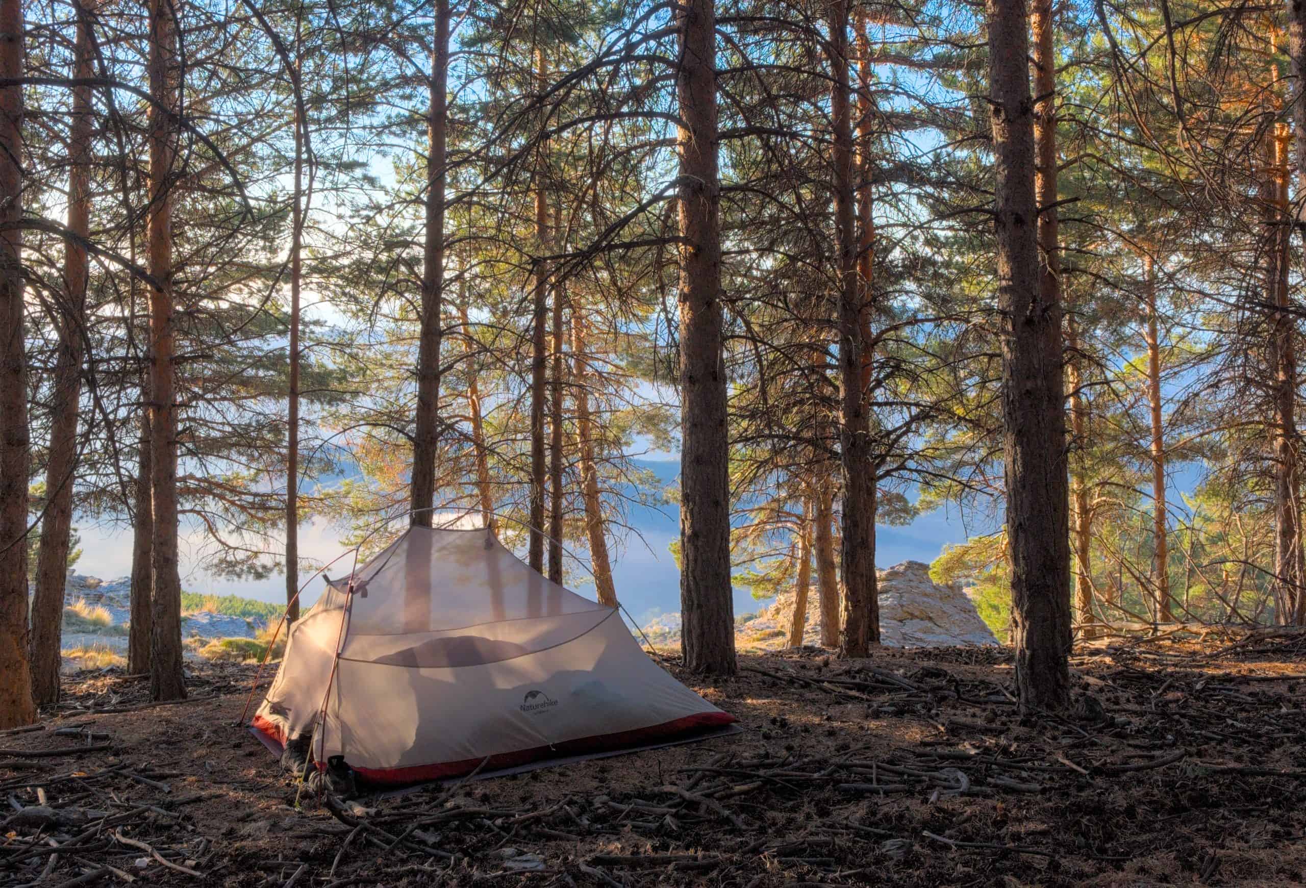 20 Pacific Northwest State Parks That Locals Swear By for Summer Camping