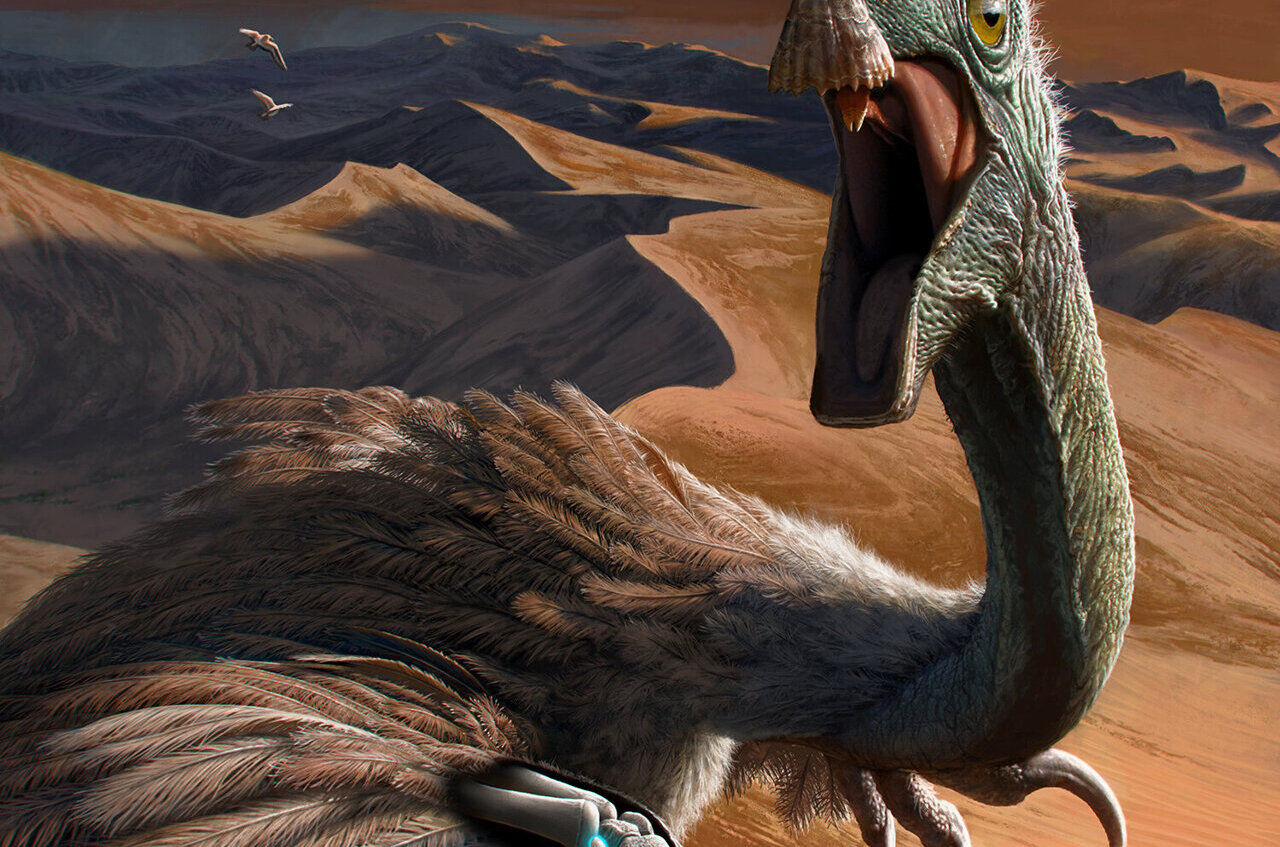Dinosaur wrist bone discovery reshapes understanding of flight evolution
