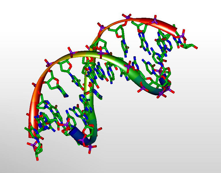 Why some genes are more error-prone: Scientists uncover hidden rule in ...