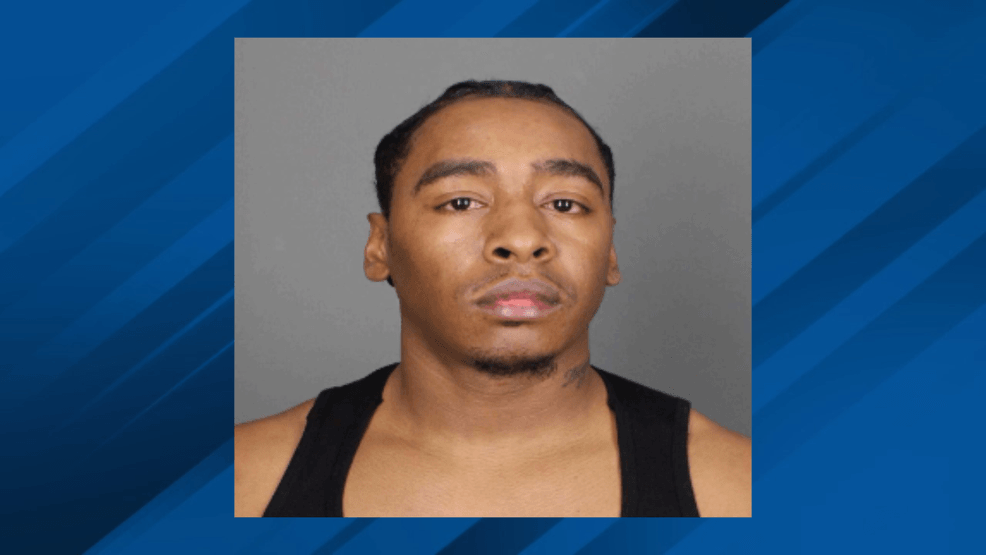 Albany man sentenced for illegal guns and drugs possession after police ...