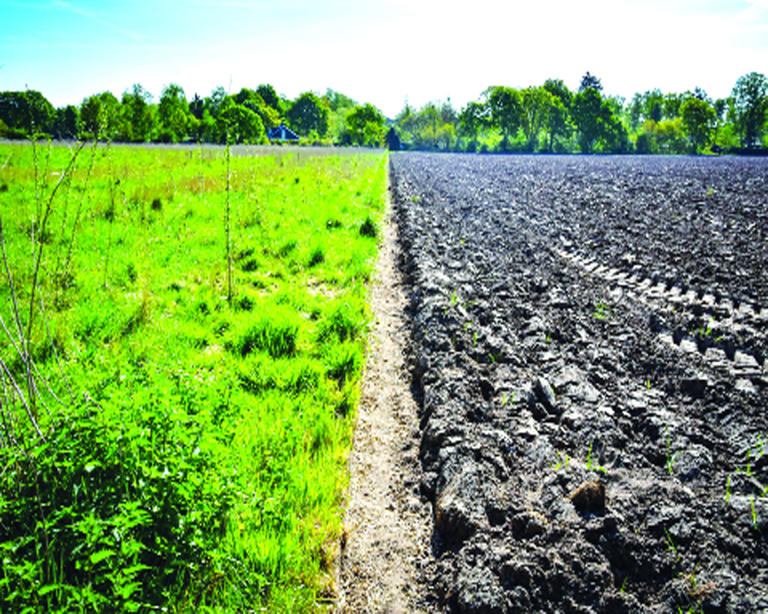 Regenerative agriculture: A path to resilience, equity and hope