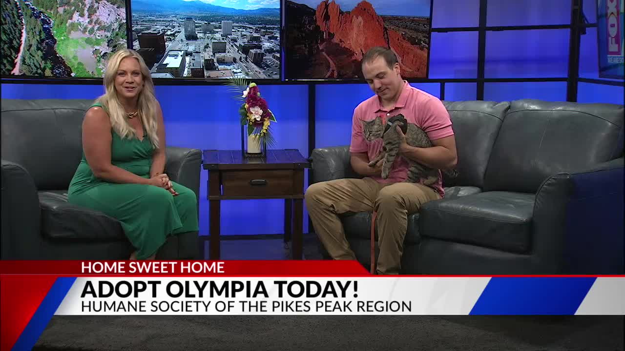 Home Sweet Home: Meet Olympia