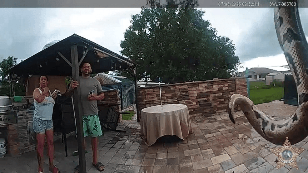 Ball Python Crashes Florida Pool Party Deputy Saves The Day