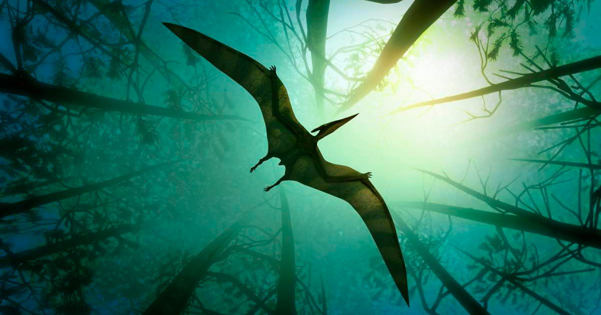 The Oldest Reptile Dinosaur in North America Found to Have Flown More ...