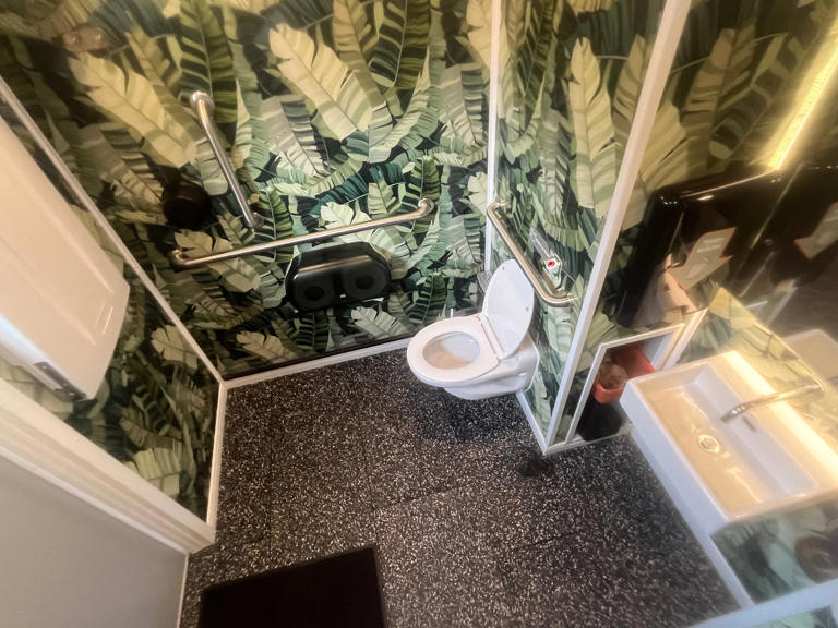 Detroit, Royal Oak, Ann Arbor try Throne toilets — a new public ...