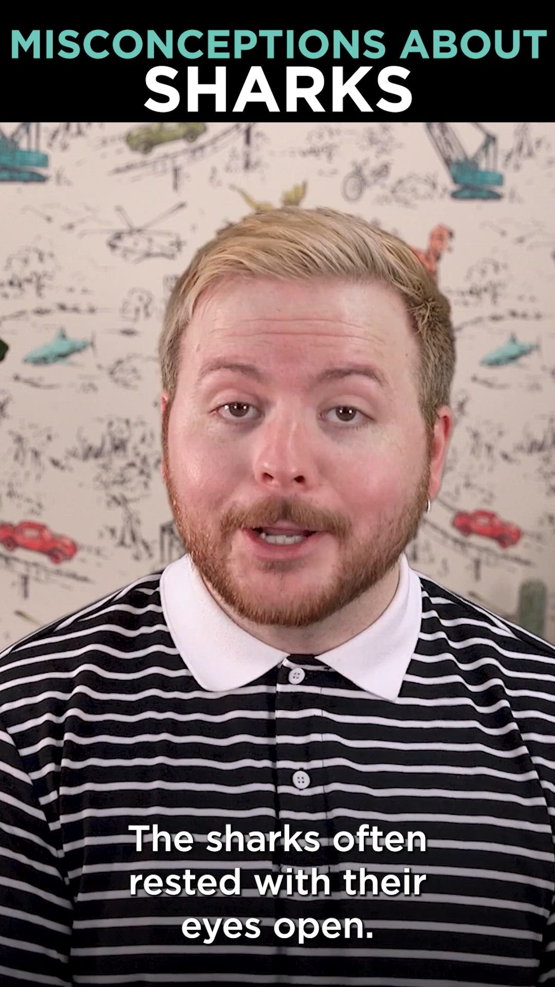 Misconception: Sharks Never Sleep