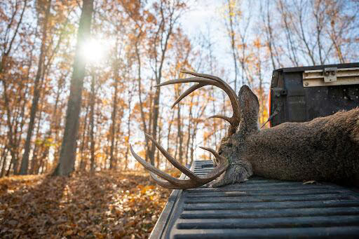 New WVDNR hunting/trapping regulations released for 2025-2026 season