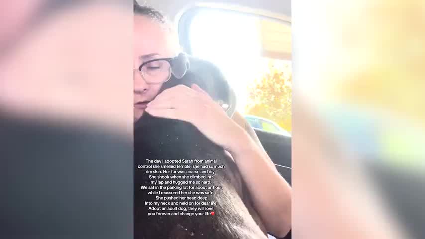 Rescue Dog Hugging Adopter