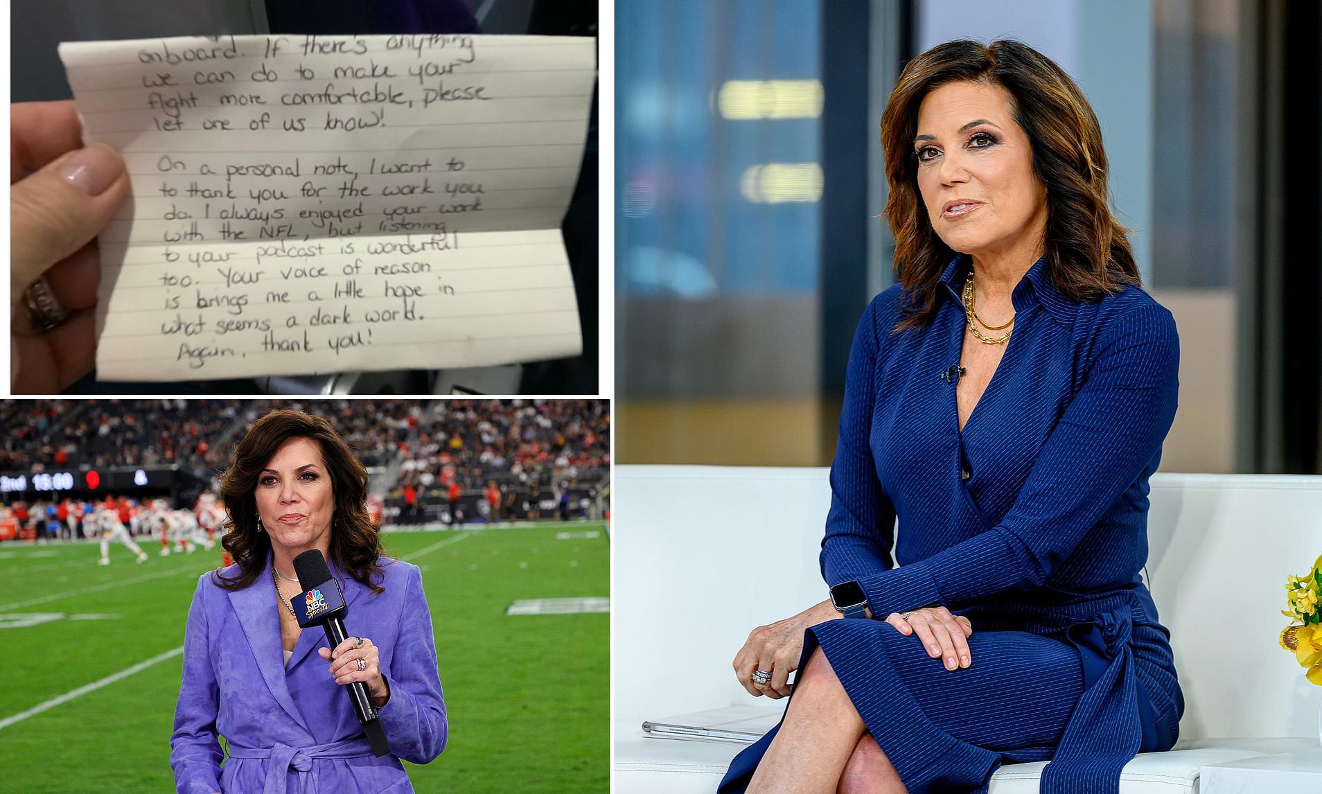 Former NFL reporter turned conservative political activist caught in ...