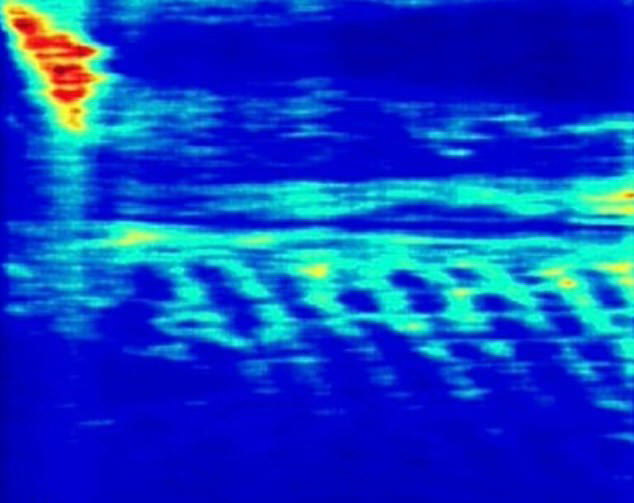 New discovery beneath Egypt's Sphinx fuels theory of ancient ...