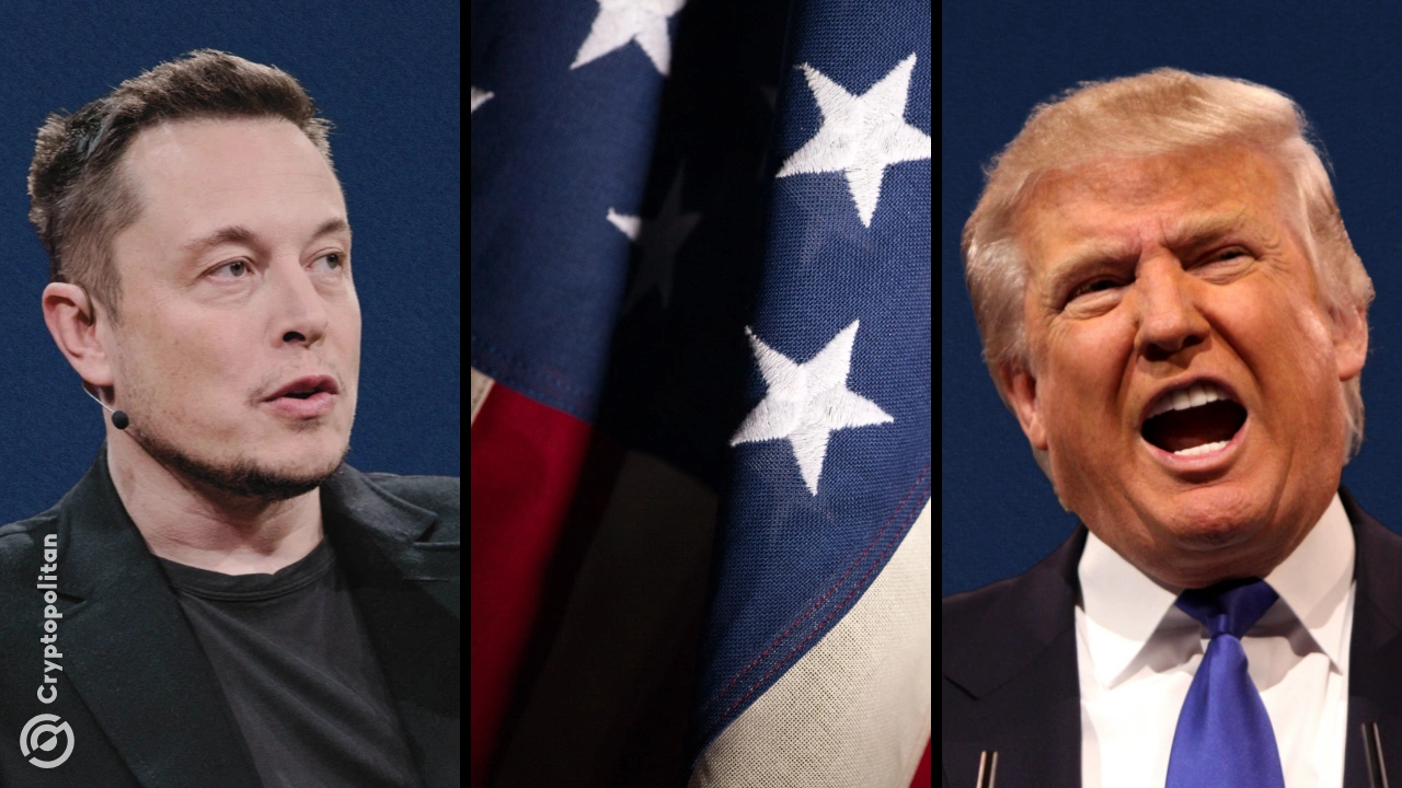 Steve Davis keeps Musk's line open to DOGE