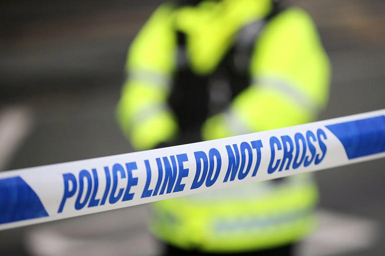 UK gangsters went on six-day crime rampage using 'gun', machetes and knives
