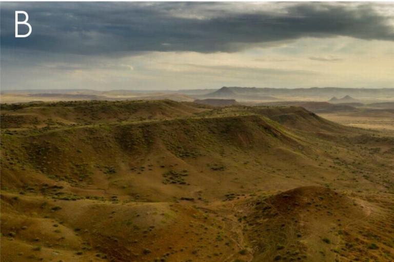‘Miniature' creature seen running ‘quickly' on Angola plain. It's a new ...