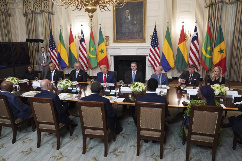 President Trump meets with African leaders