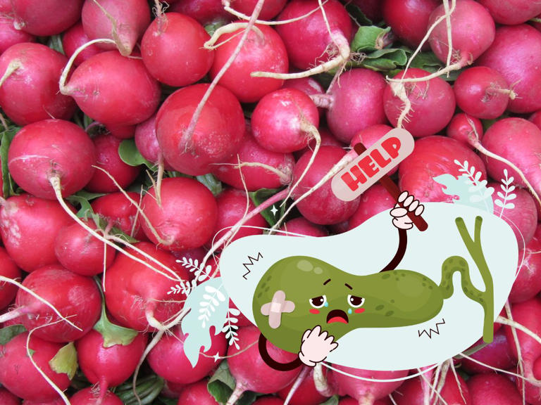 Beneficios del rábano: aquí todas sus propiedades medicinales