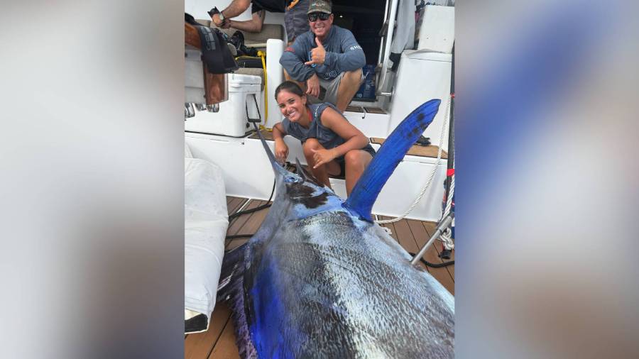 ‘We knew it was something special’: LSU graduate catches over 600-pound ...