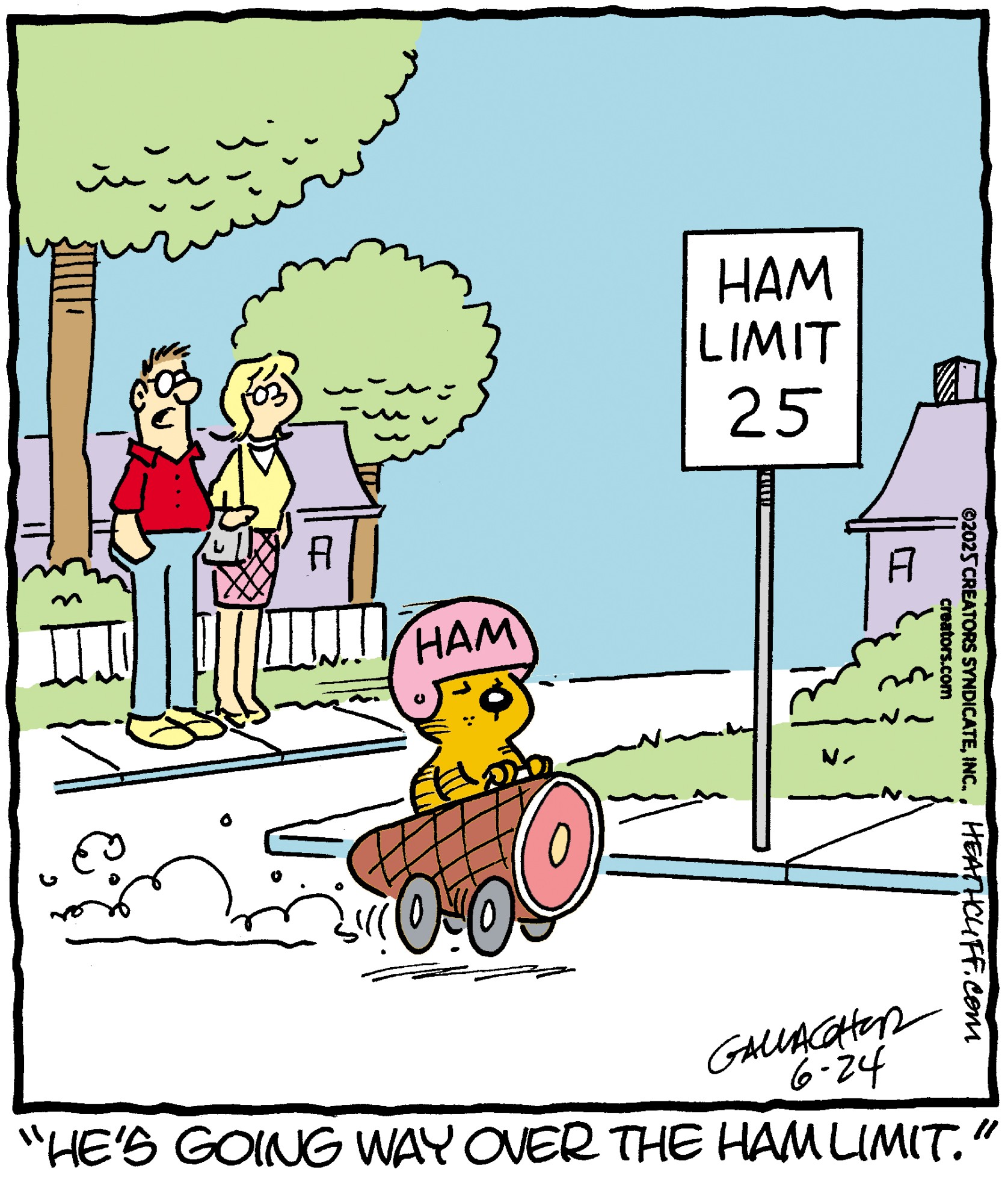 Evening Comics: "Heathcliff" by Peter Gallagher