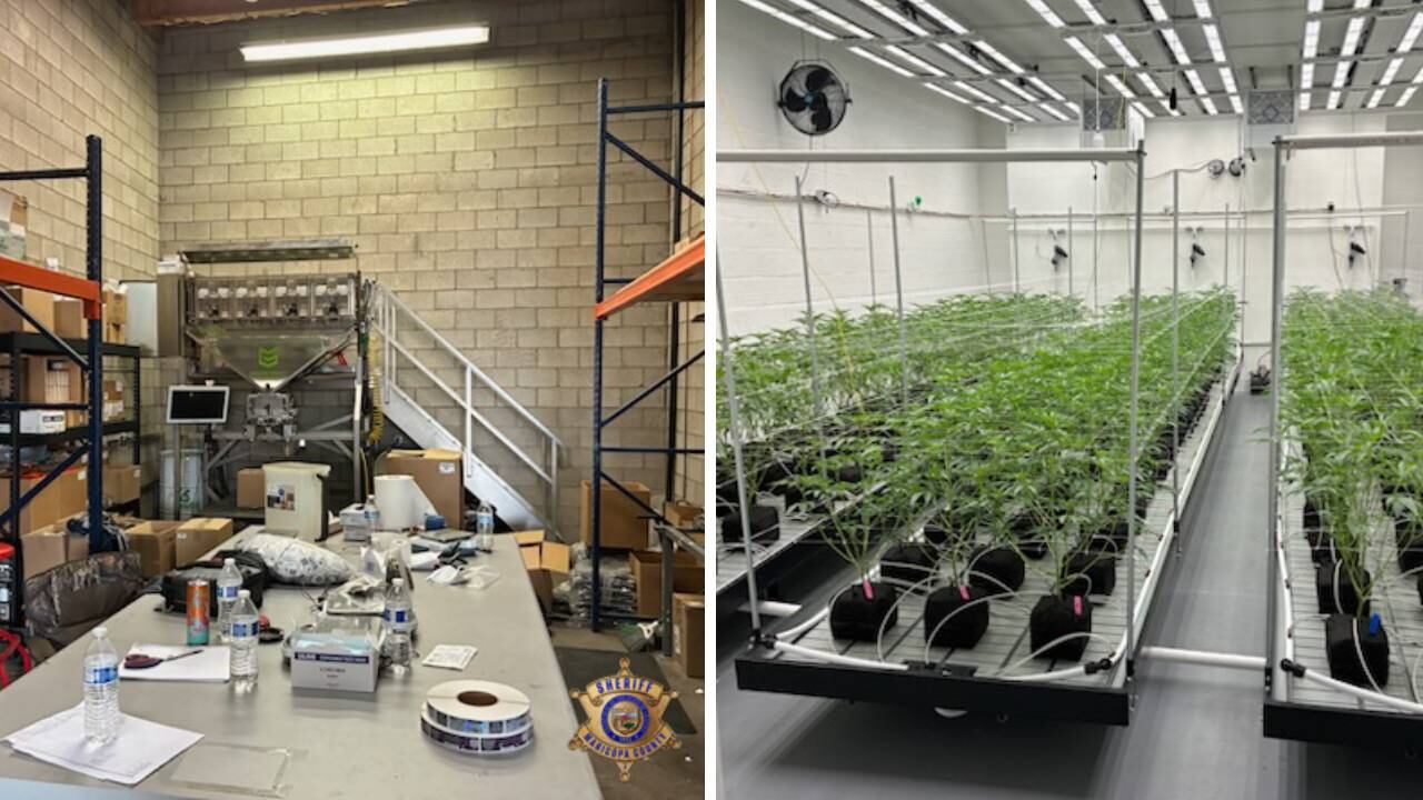 MCSO shuts down massive marijuana grow operation in east Phoenix