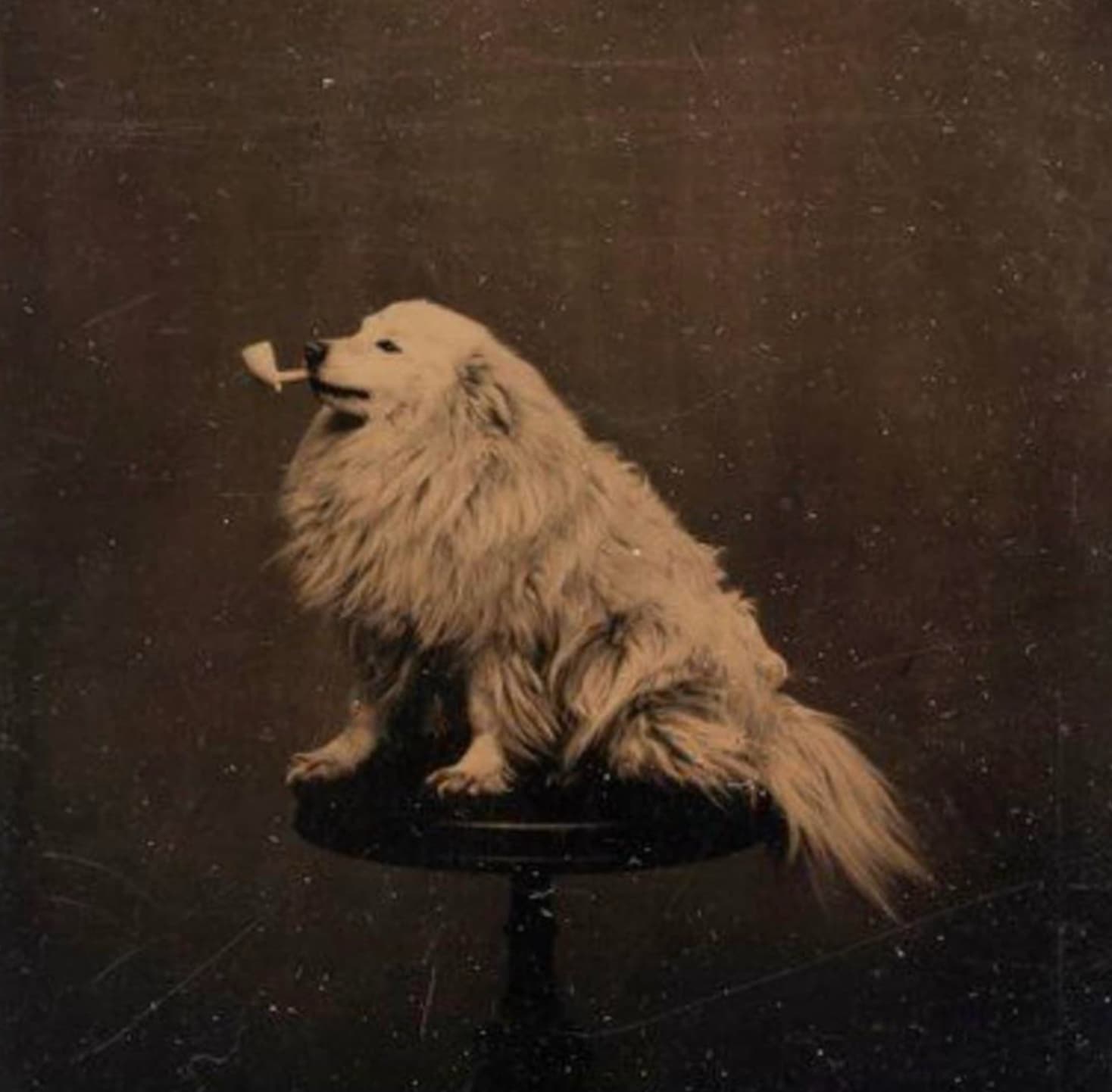 28 Silly History Pics Proving Our Ancestors Had Humor