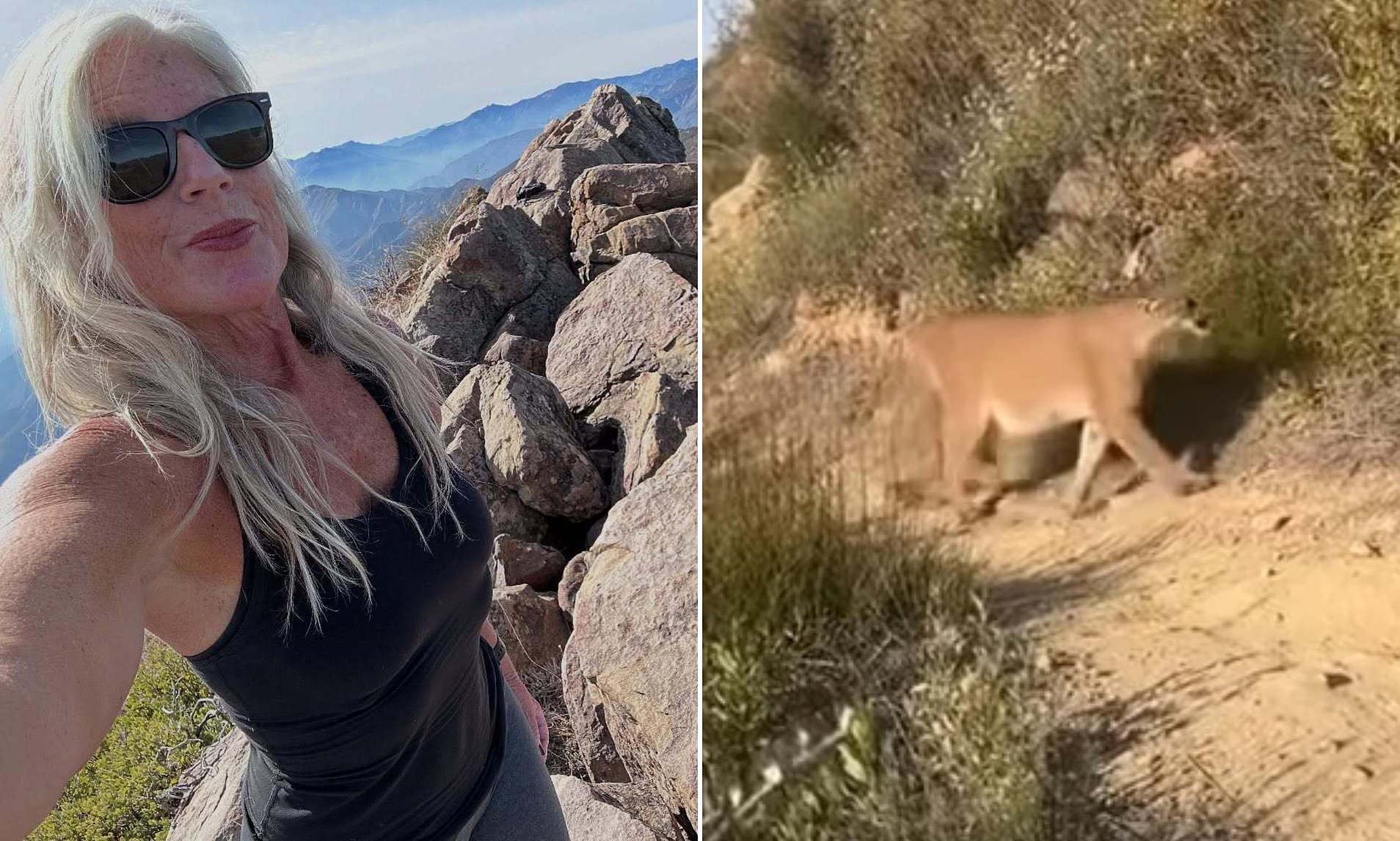 Hiker's heart-stopping video shows exactly what to do if confronted by a mountain lion