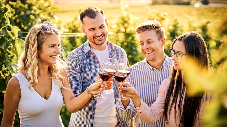 9 Unique Winery Experiences In Napa And Sonoma Valley