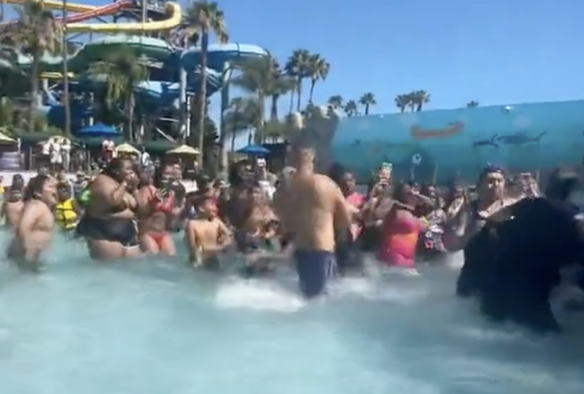 Video of 'Massive' Brawl at Popular Waterpark Goes Viral