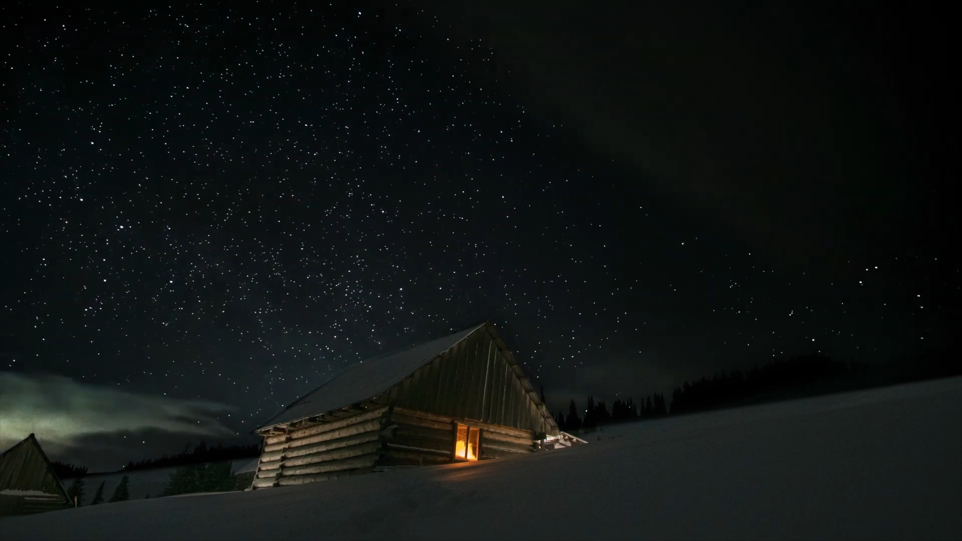 Aliens Uncovered: Observe & Report 2: Official Trailer