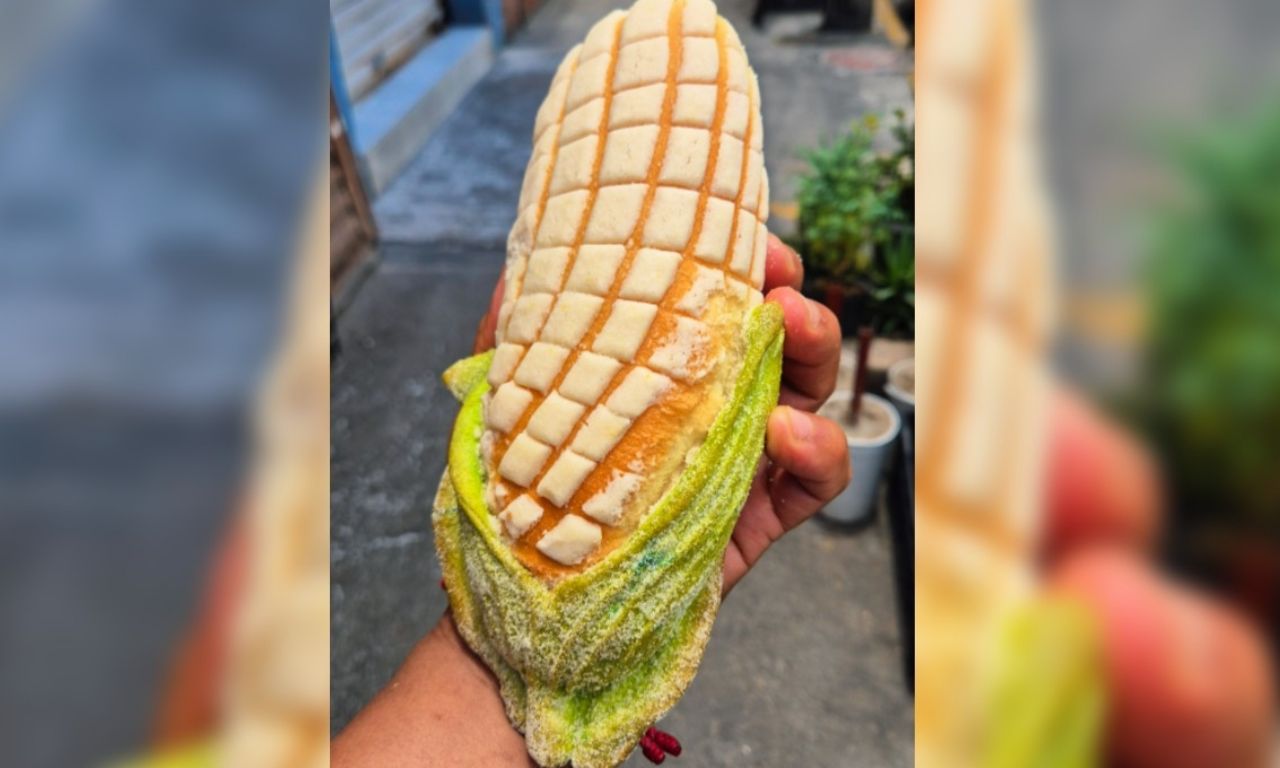 La panadería en la CDMX en donde comprar la conchalote, el pan dulce viral en TikTok