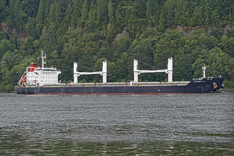 Ship attacked by Yemen's Houthi rebels sinks in Red Sea, six of 25 ...