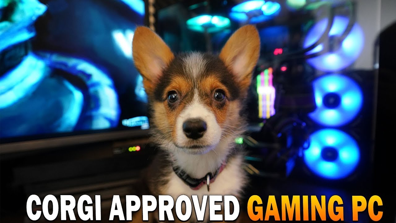 Building The Ultimate Corgi Approved Gaming PC - RTX 2080TI SLI