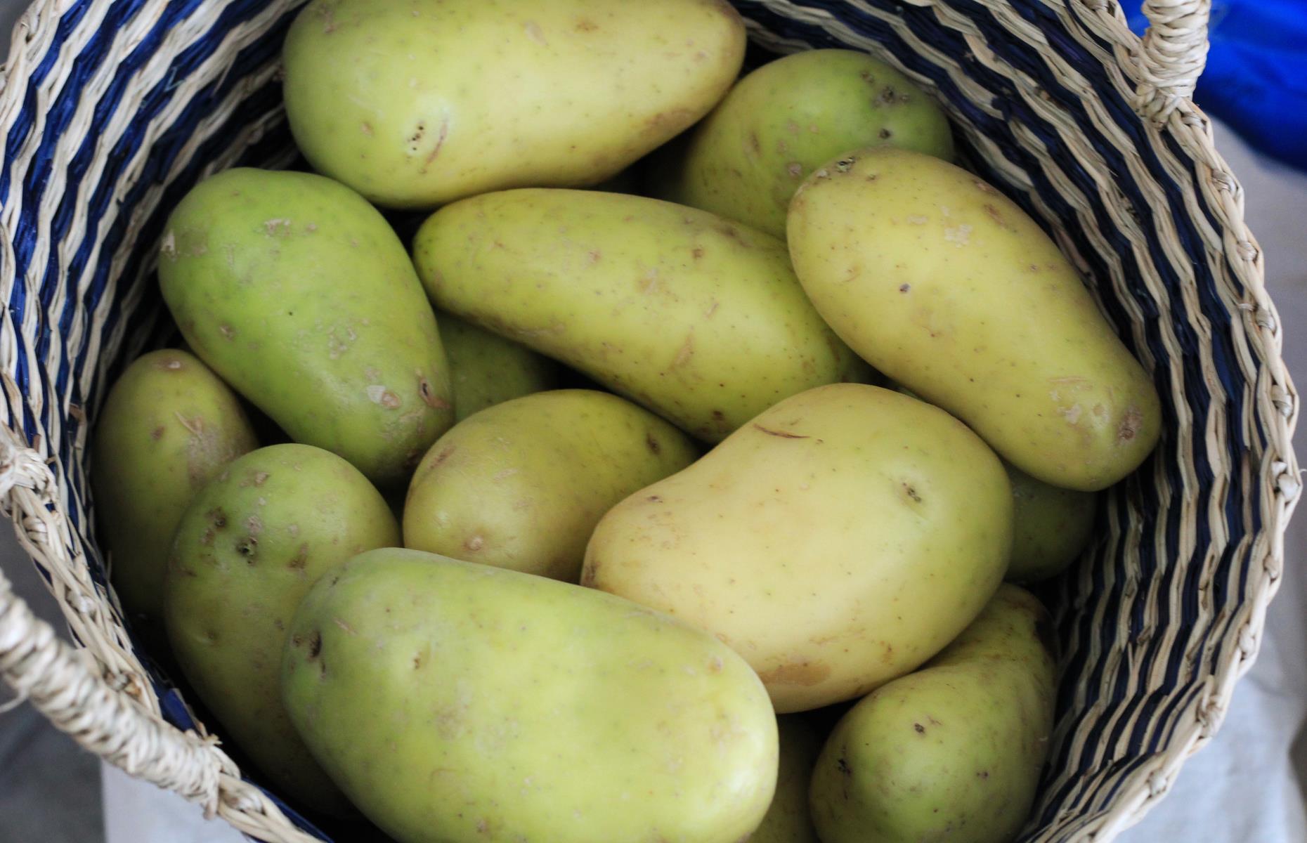 Green potatoes and 38 other foods that can be dangerous (and even deadly)