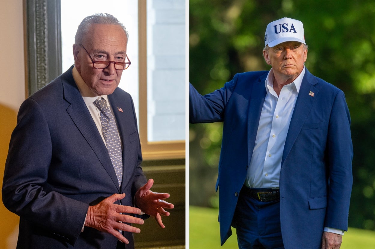 The Democrats Are Creating A "Project 2029" — And We Want To Know What ...