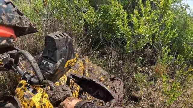 We Sunk The Sherp at Kolt Gene's Swamp Ranch
