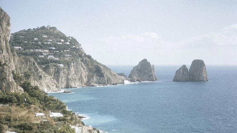 ‘Delusional’: Albo fires up on anti-Semitic attack