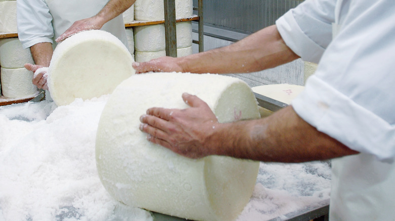 The 14 Types Of Cheese That Are Best To Splurge On