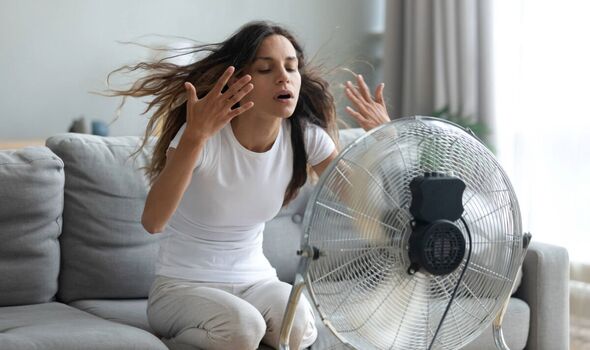 UK households urged to turn off fans at certain times this week