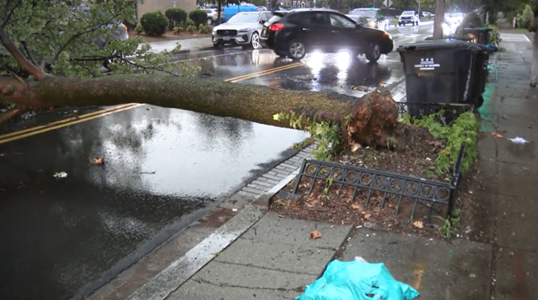 Hundreds without power after severe storms swept through DMV