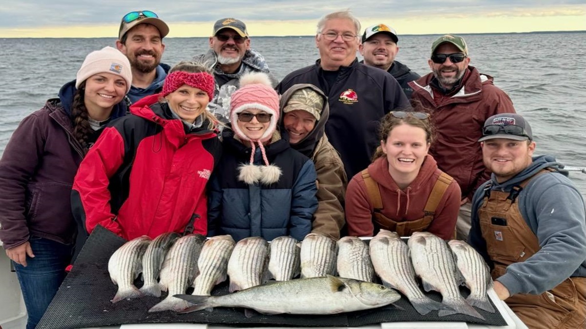 Bay Temperatures Break Records as Rockfish School Up