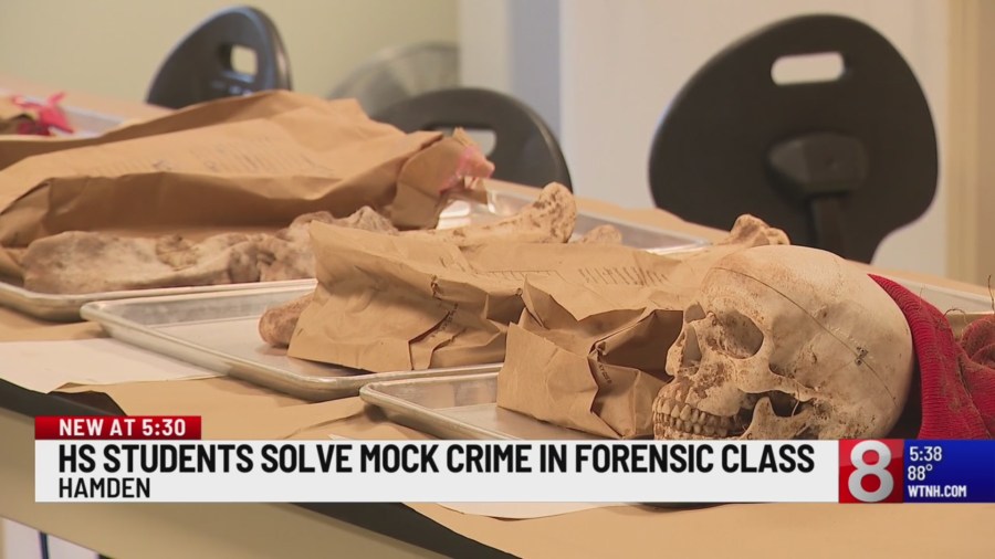 High school students get hands-on experience at Quinnipiac forensic ...