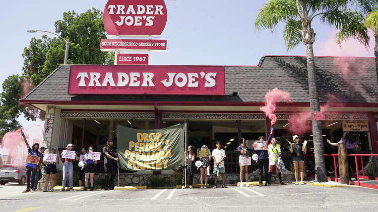 ‘The chickens are not fine': Chaos erupts at California Trader Joe's