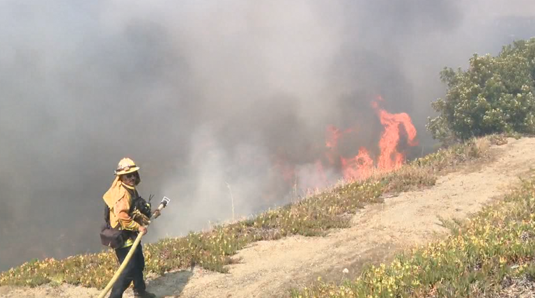 Evacuation orders, warnings issued due to Steele Fire burning near Jamul
