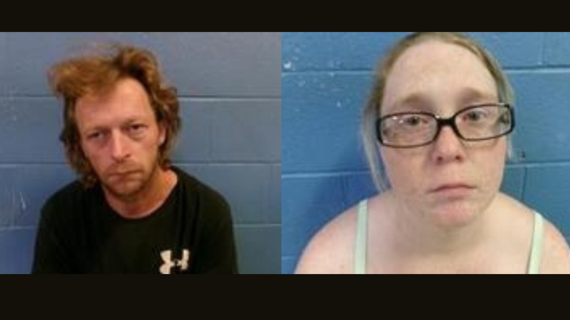 Couple arrested after police find dozens of dead cats in freezer