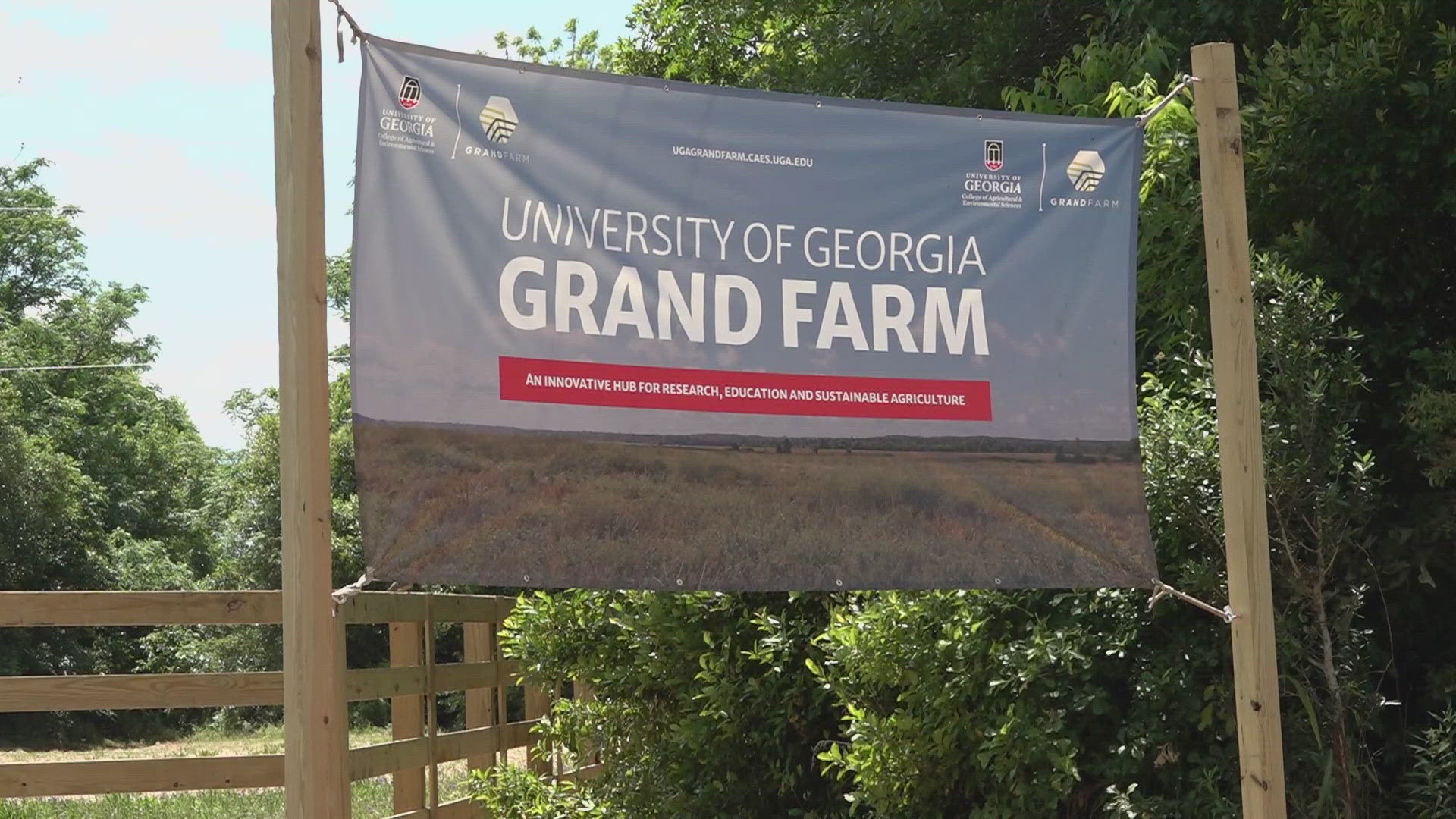 How the UGA Grand Farm in Perry is pioneering agriculture technology in ...