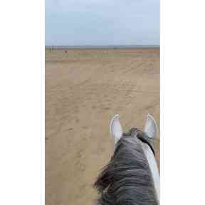 What a Day at the Beach