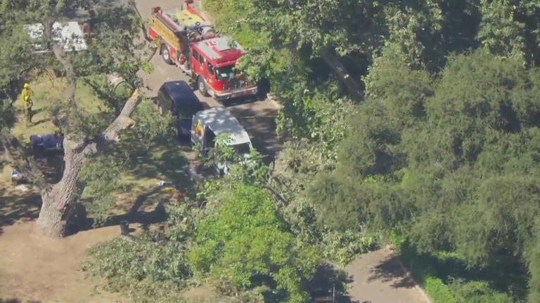Tree falls into site of kids summer camp near Calabasas
