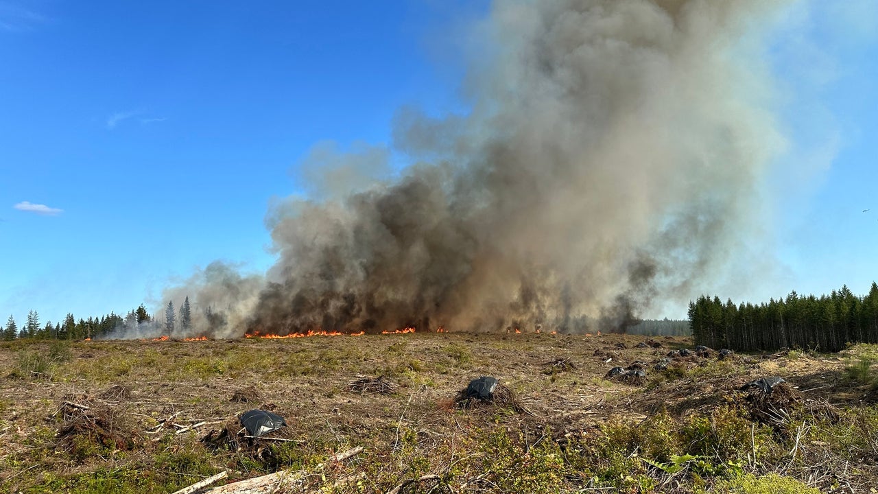 Toonerville Fire near Belfair, WA triggers evacuation orders
